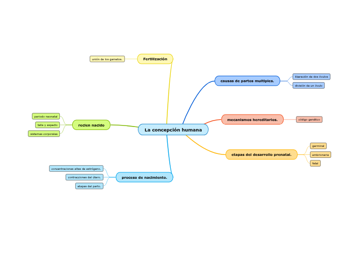 La concepción humana - Mind Map
